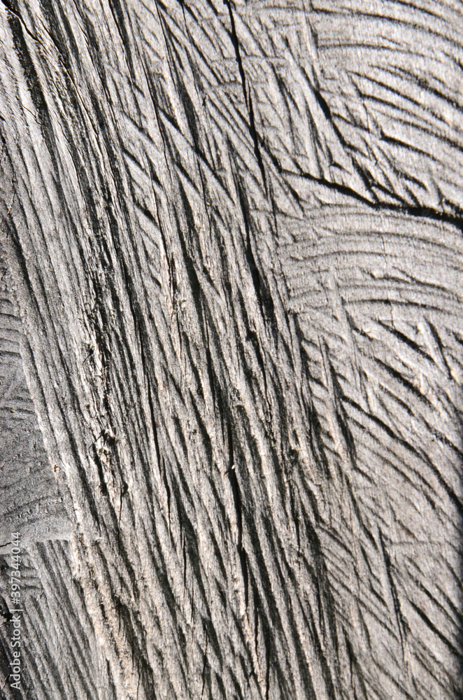 Foto de textura y fondo para recurso en diseño en madera natural do ...