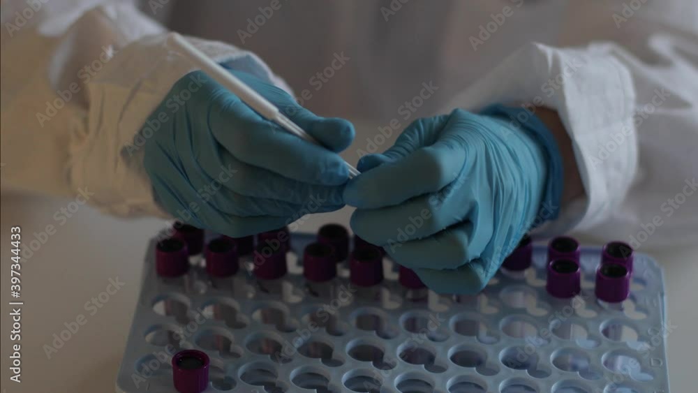 Process of coronavirus testing examination by nurse medic in laboratory ...