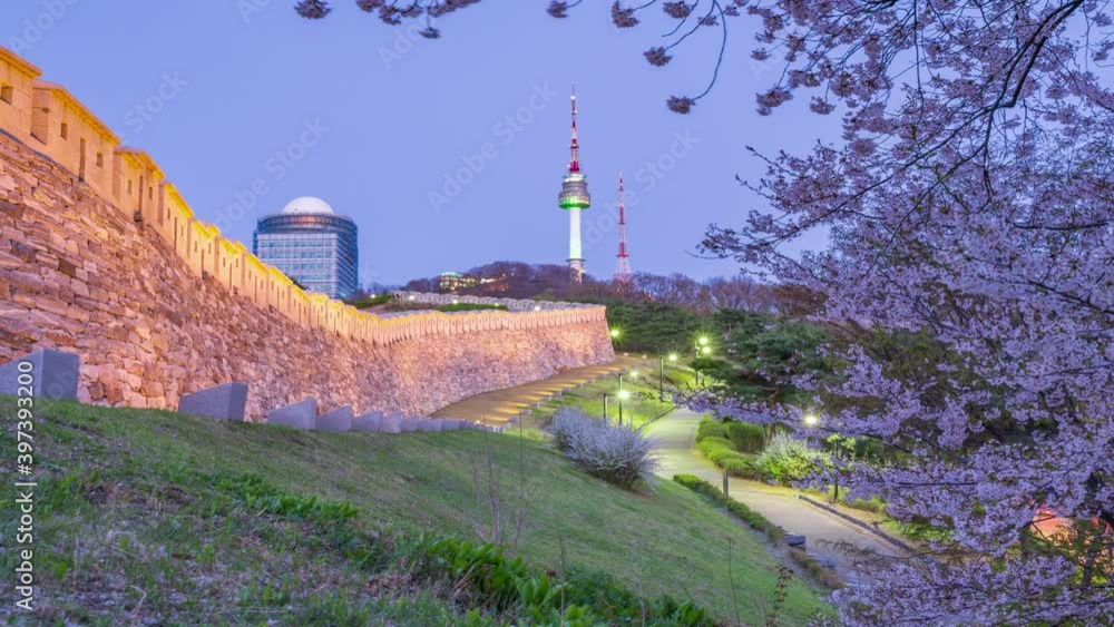 Night view Cherry blossom at Namsan Park in Seoul,South Korea.Zoom out ...