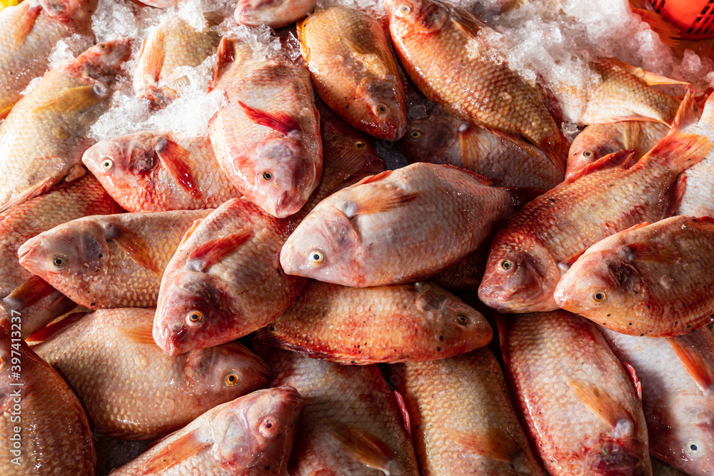 The traditional fish market of Hoi An in Vietnam Stock Photo | Adobe Stock