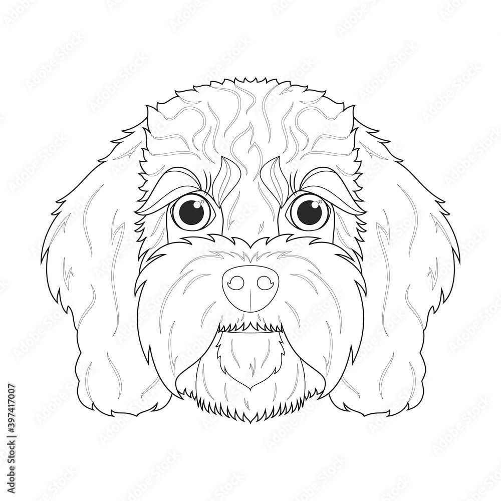 Cavoodle dog easy coloring cartoon vector illustration. Isolated on ...