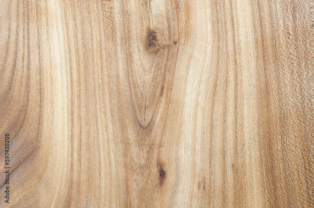 background elm tree texture with vertical lines Stock Photo | Adobe Stock