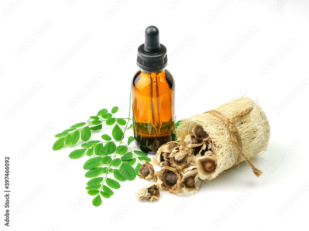 Moringa essential oil herb with seeds and leaves, isolated on white ...