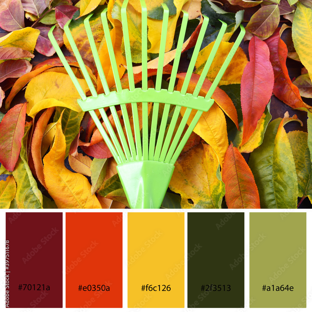 Autumn Designer Pack Color Palette inspired by nature. Garden rake with ...