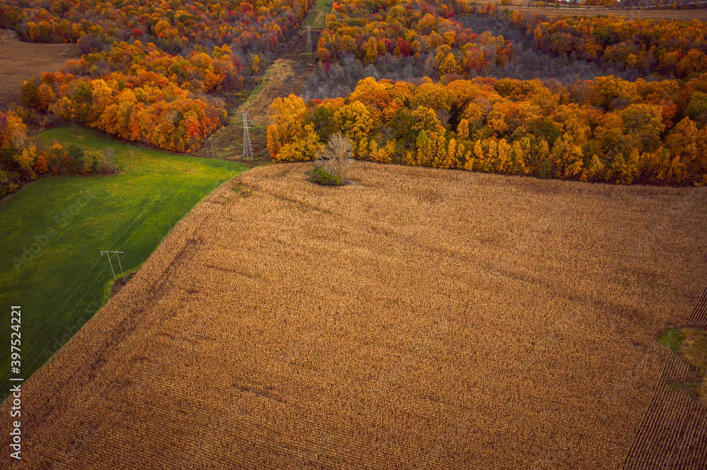 Beautiful aerial photograph of green and golden farm fields in Indiana ...