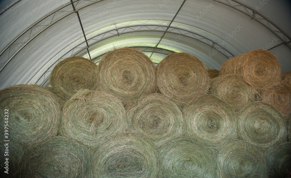 large round hay bales stored and stacked inside coverall for storage ...