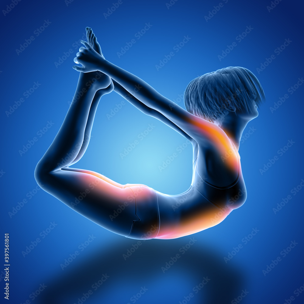 3D female figure in bow pose with muscles used highlighted Stock ...