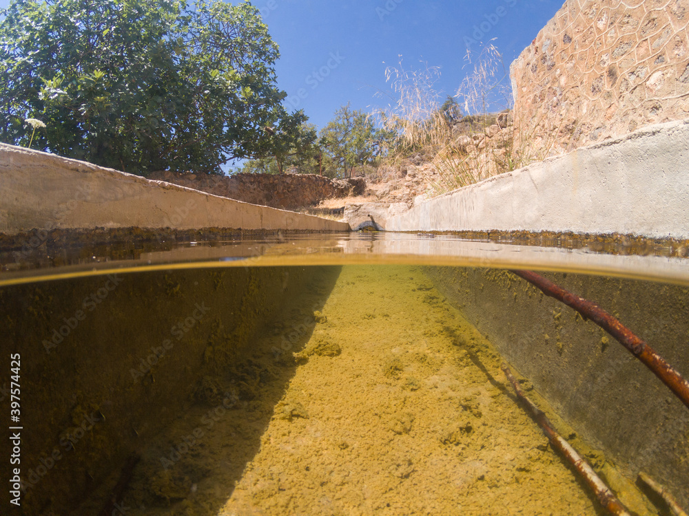 water trough to water the animals Stock Photo | Adobe Stock