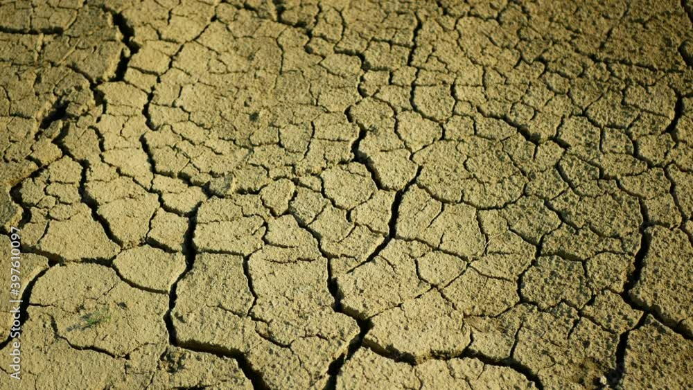 Very drought wetland, swamp and pond drying up the soil cracked crust ...
