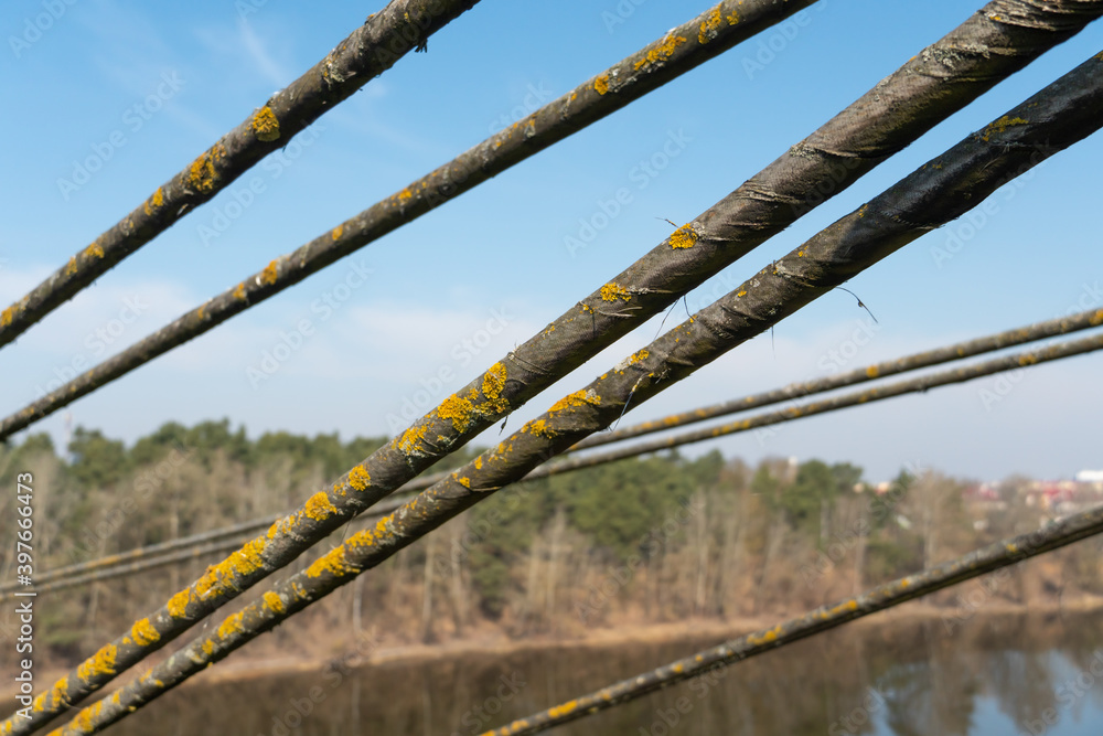 Cables and ropes of a suspension bridge close-up. Fixing the old bridge ...