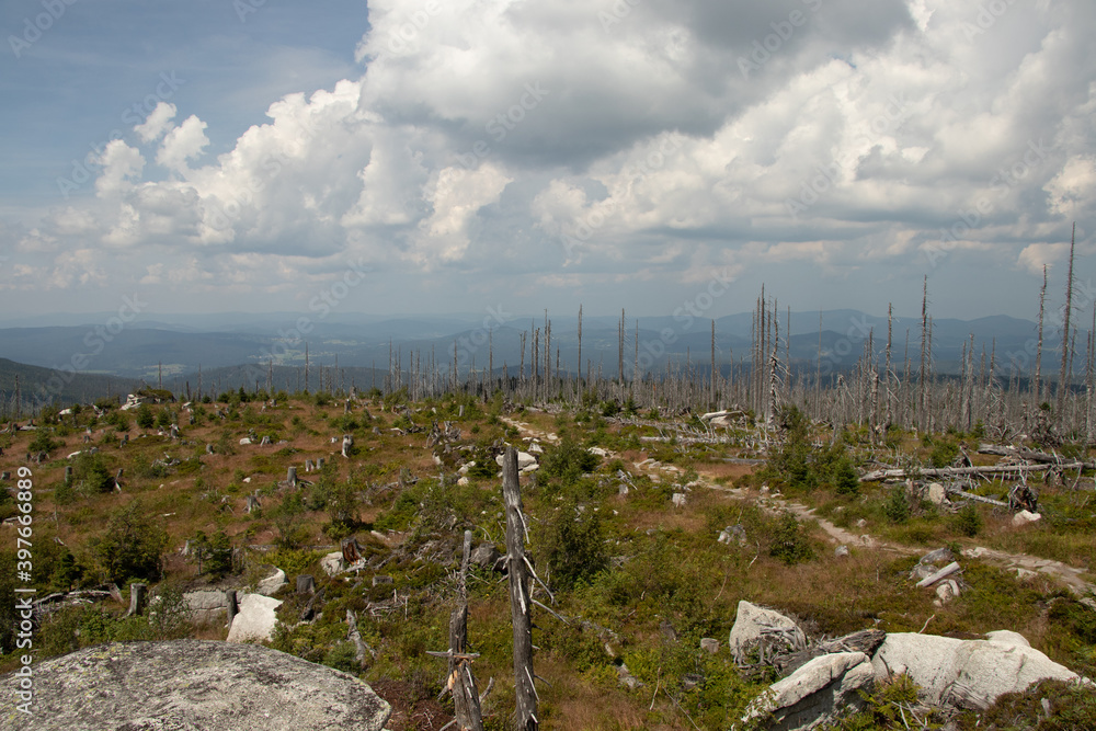 Typical Sumava landscape in the southwest Bohemia near the town of Ceske budejovice. A landscape ...