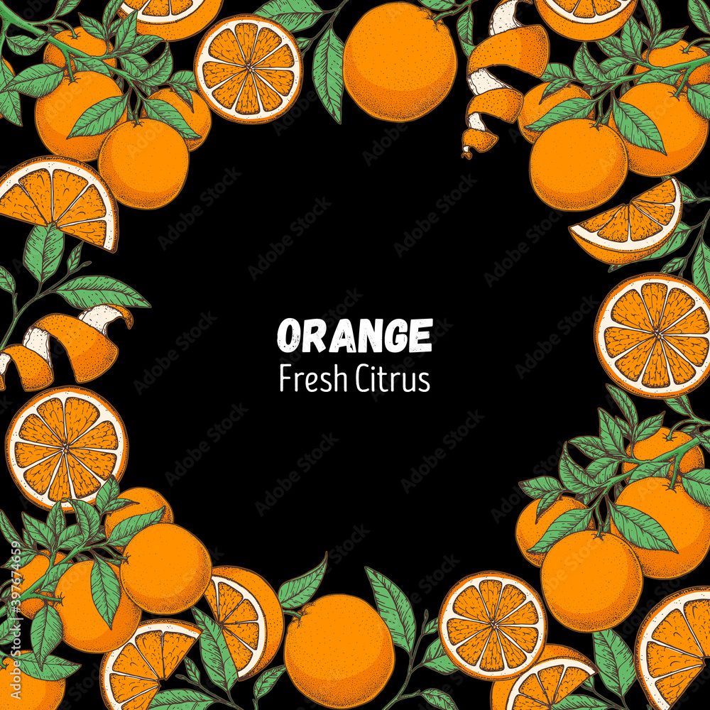 Orange hand drawn illustration.Sketch vector illustration. Orange ...