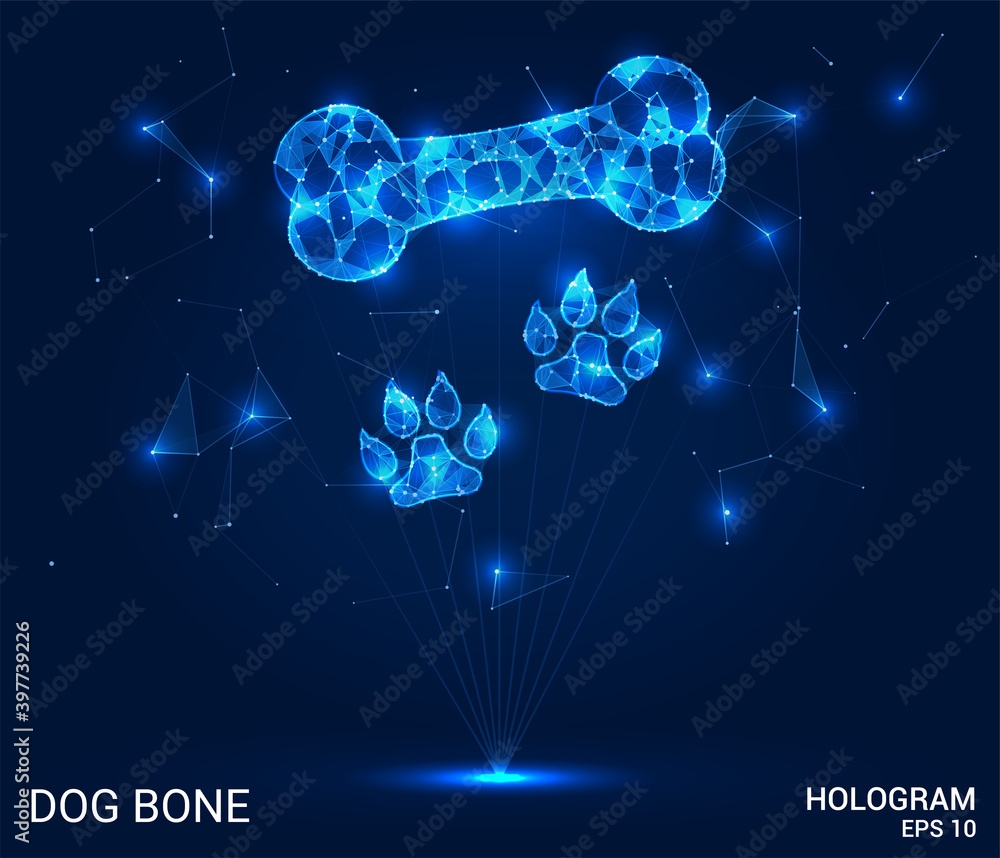 Hologram Dog Bone And Footprints A Dog Bone Made Up Of Polygons
