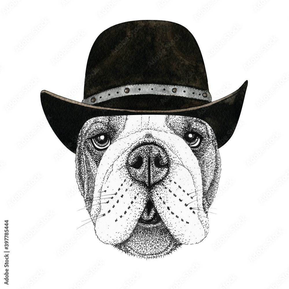 bulldog dog head hand drawn illustration. Wild animal wearing cowboy ...