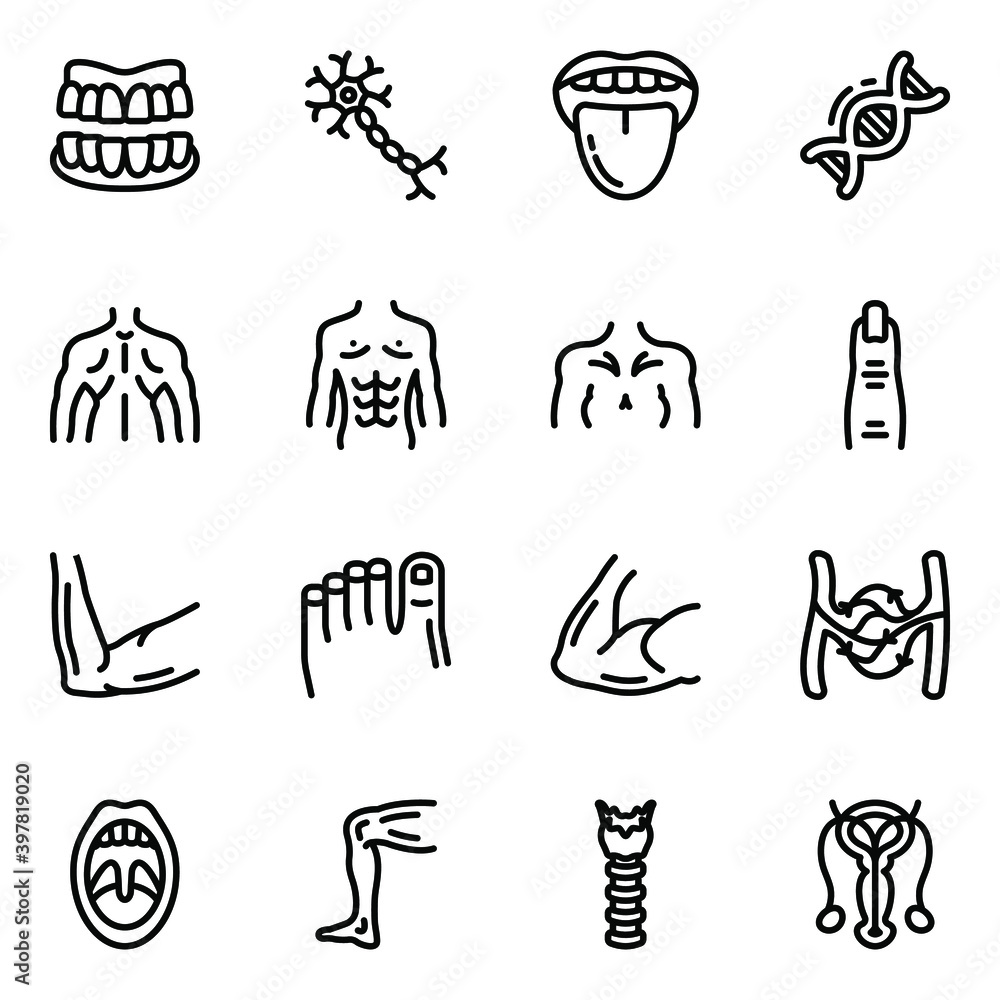 Body Anatomy Solid Icons Pack Stock Vector | Adobe Stock