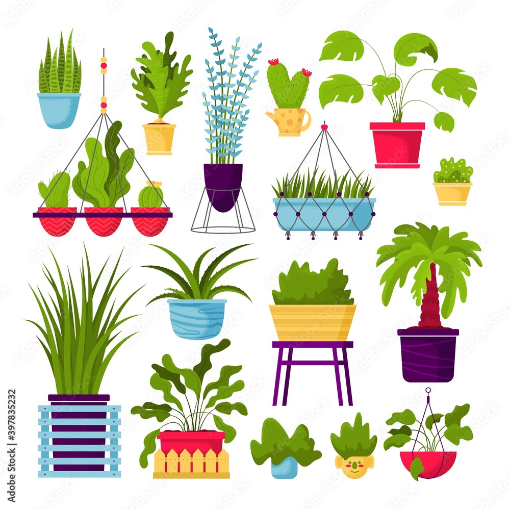 Collection of decorative houseplants isolated on white, vector ...