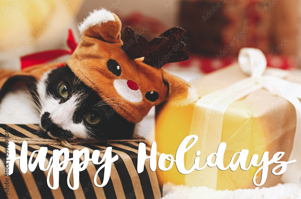 Foto de Happy holidays Greeting card. Happy holidays text handwritten ...