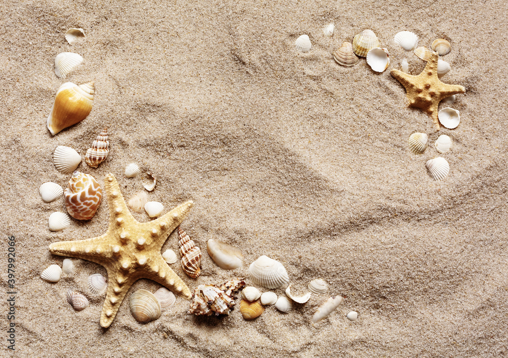 Sandy beach background with shells and stones. Sand texture for summer ...