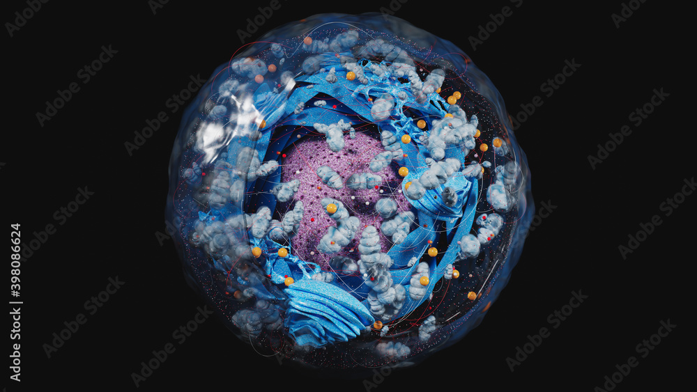 Structure of human cell, anatomy of cell, cellular environment ...