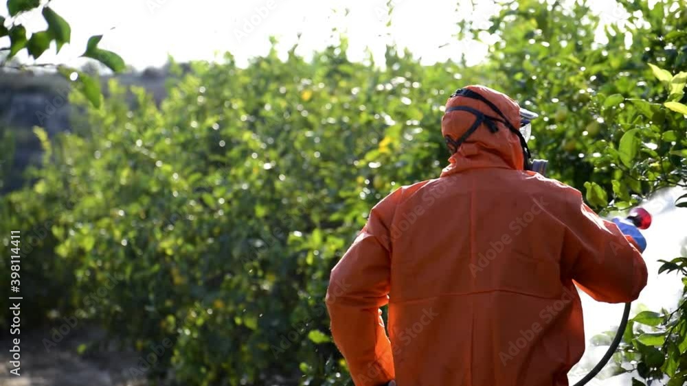 Farmer in protective clothes spray pesticides. Farm worker spray ...
