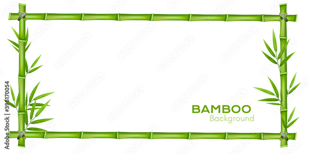 Bamboo Clip Art Border