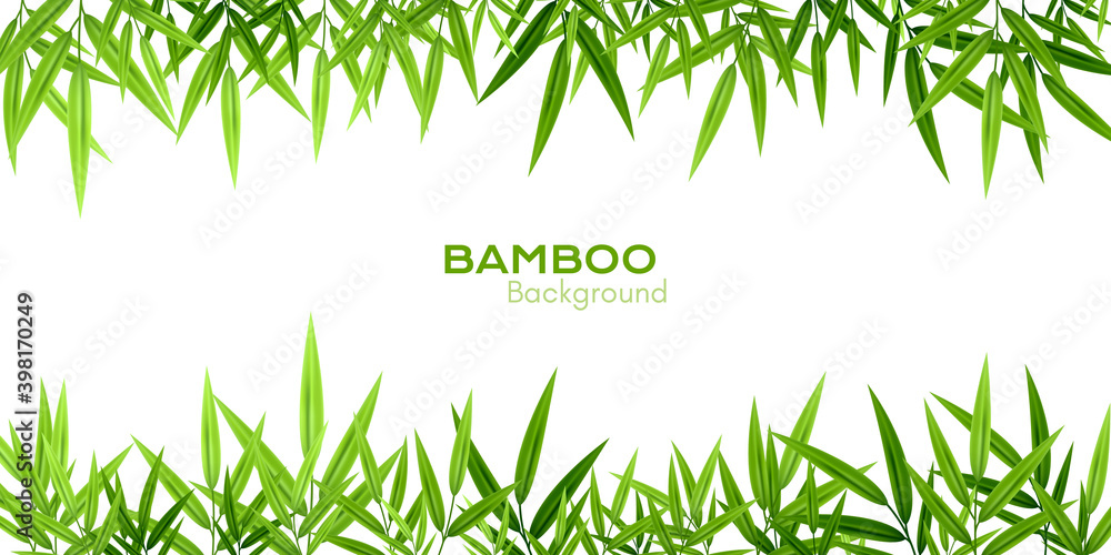 Bamboo decoration. Background with leaves borders. Stock Vector | Adobe ...