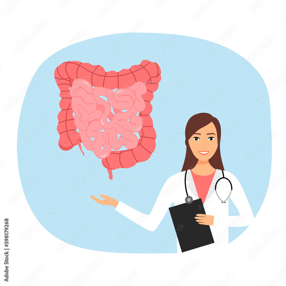 Large and small intestine concept vector illustration on white ...