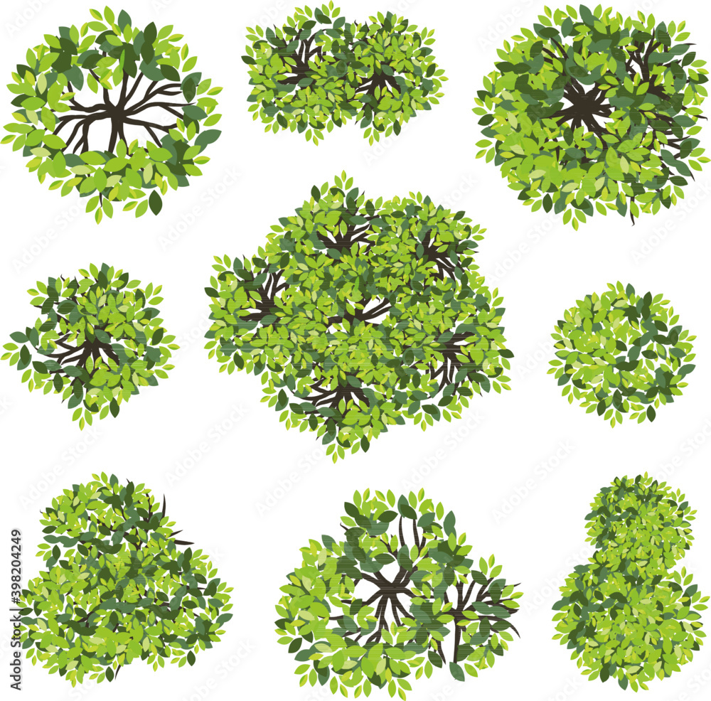 Stockvector Collection of abstract vector green tree top view isolated ...