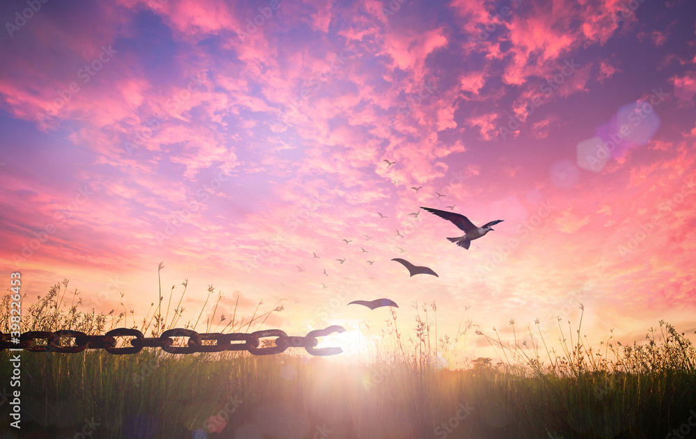 World freedom day concept: Silhouette of bird flying and broken chains ...