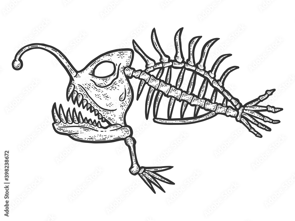 The skeleton of a deep sea fish, a predator. Engraving raster ...