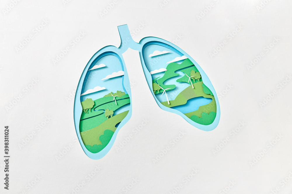 Papercraft model of lungs with natural ecosystem. Stock Photo | Adobe Stock