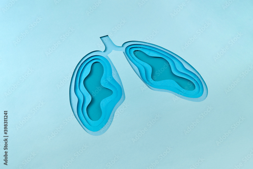 Abstract anatomic structure of human lungs handmade from paper. Stock ...