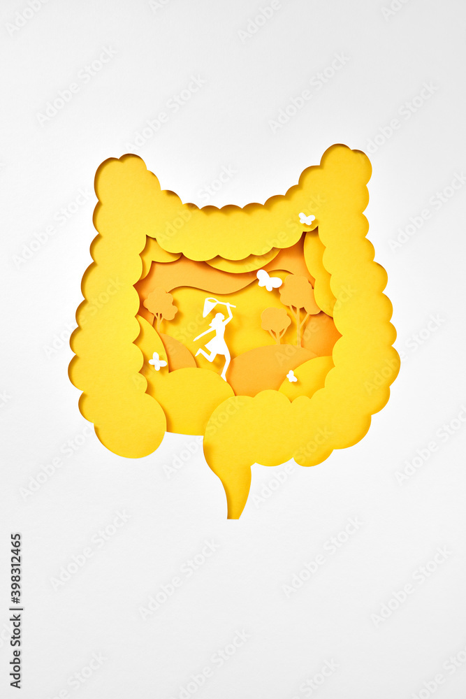 Papercraft human digestive system with flying butterfly and paper girl ...
