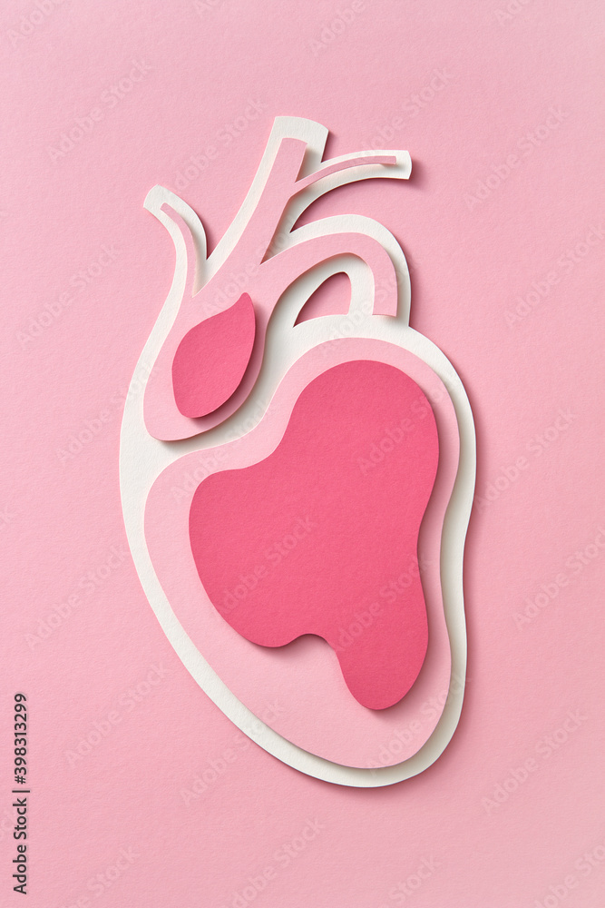 Handmade from paper abstract model of human heart. Stock Photo | Adobe ...