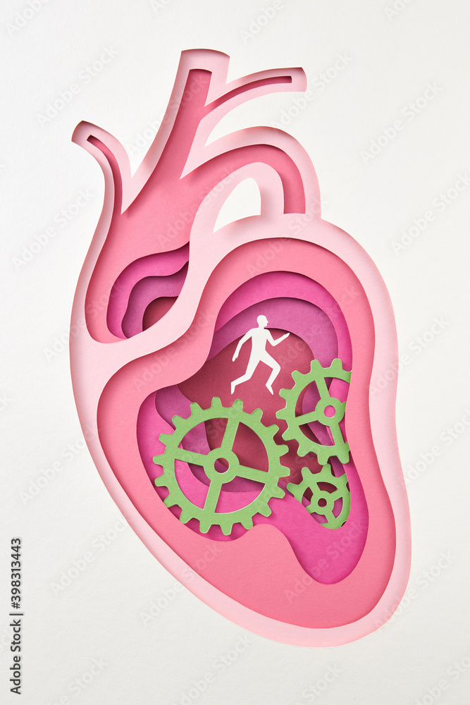 Papercraft abstract structure of human heart with runner and clockwork ...