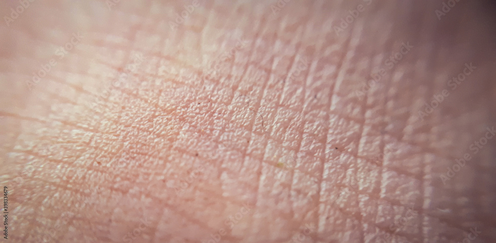 skin of human hand.Medicine and dermatology concept. Details of human ...