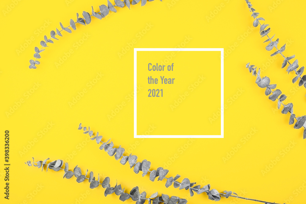 Yellow background with eucalyptus branches. The color of the year 2021 ...