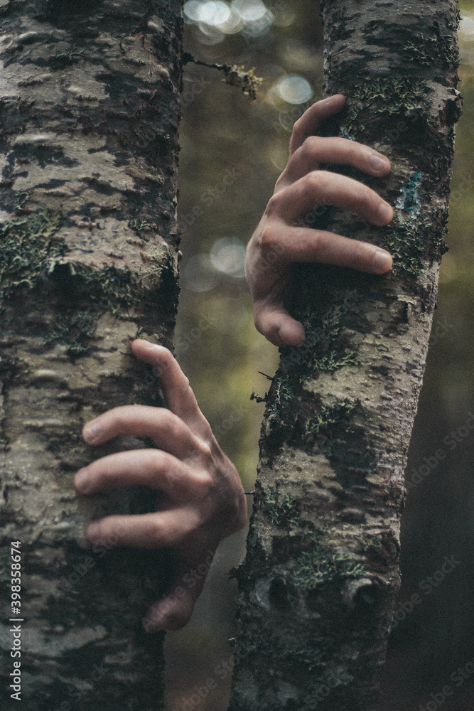 Creepy Conceptual Hands Grabbing Tree In Horror Forest Stock Photo ...