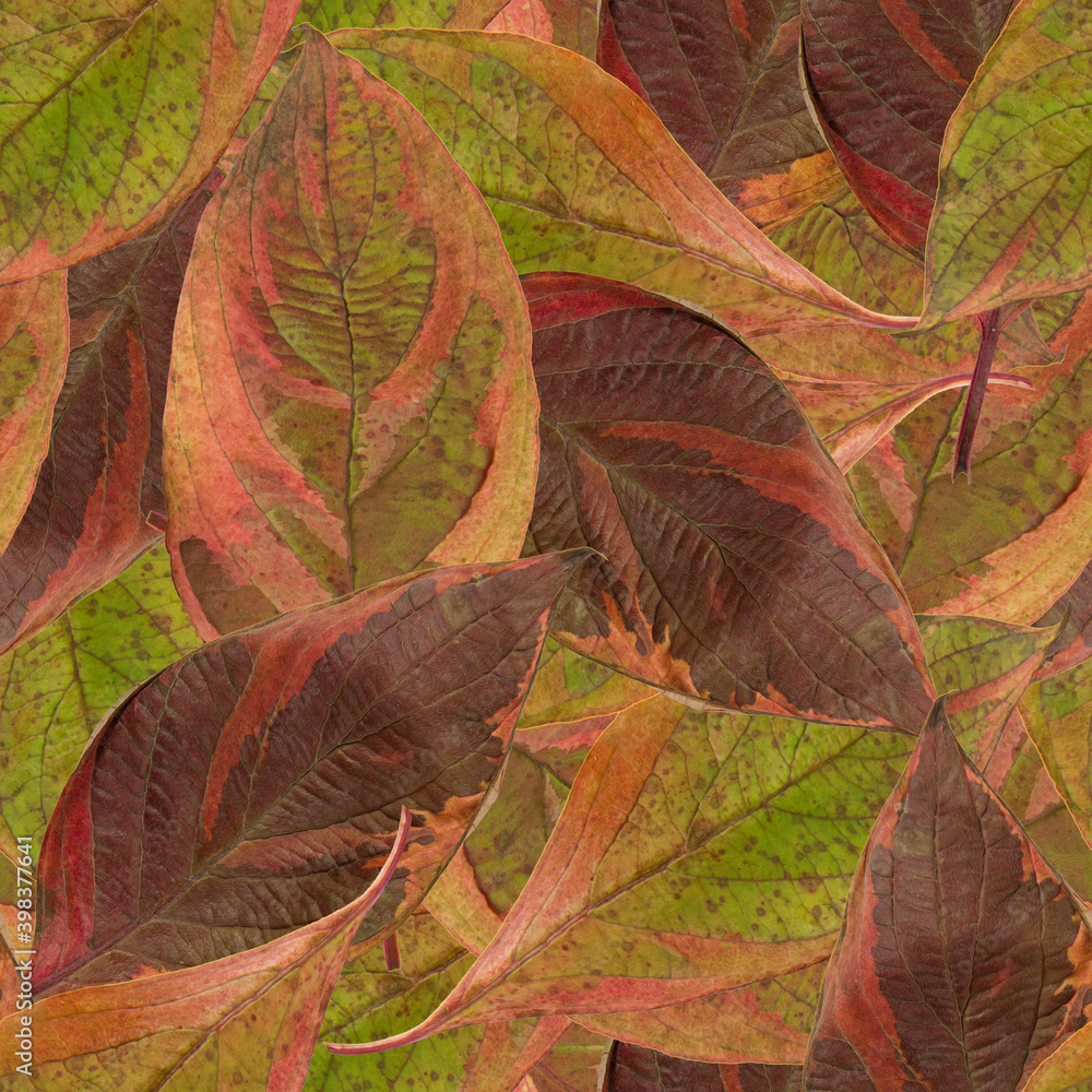 Apple tree leaves. Illustration, texture of leaves. Seamless pattern ...
