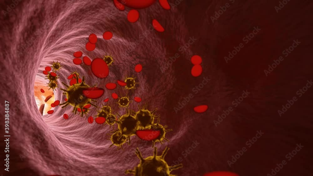Intra-blood vessel images with red blood cells and virus models Or ...