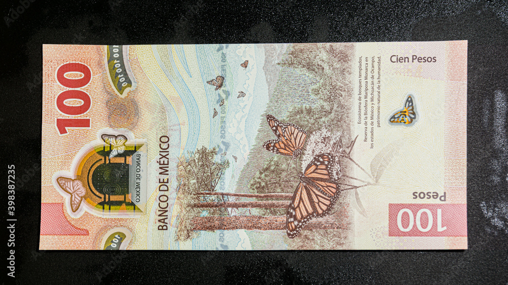 Billete de 100 Pesos Nuevo reverso Stock Photo | Adobe Stock