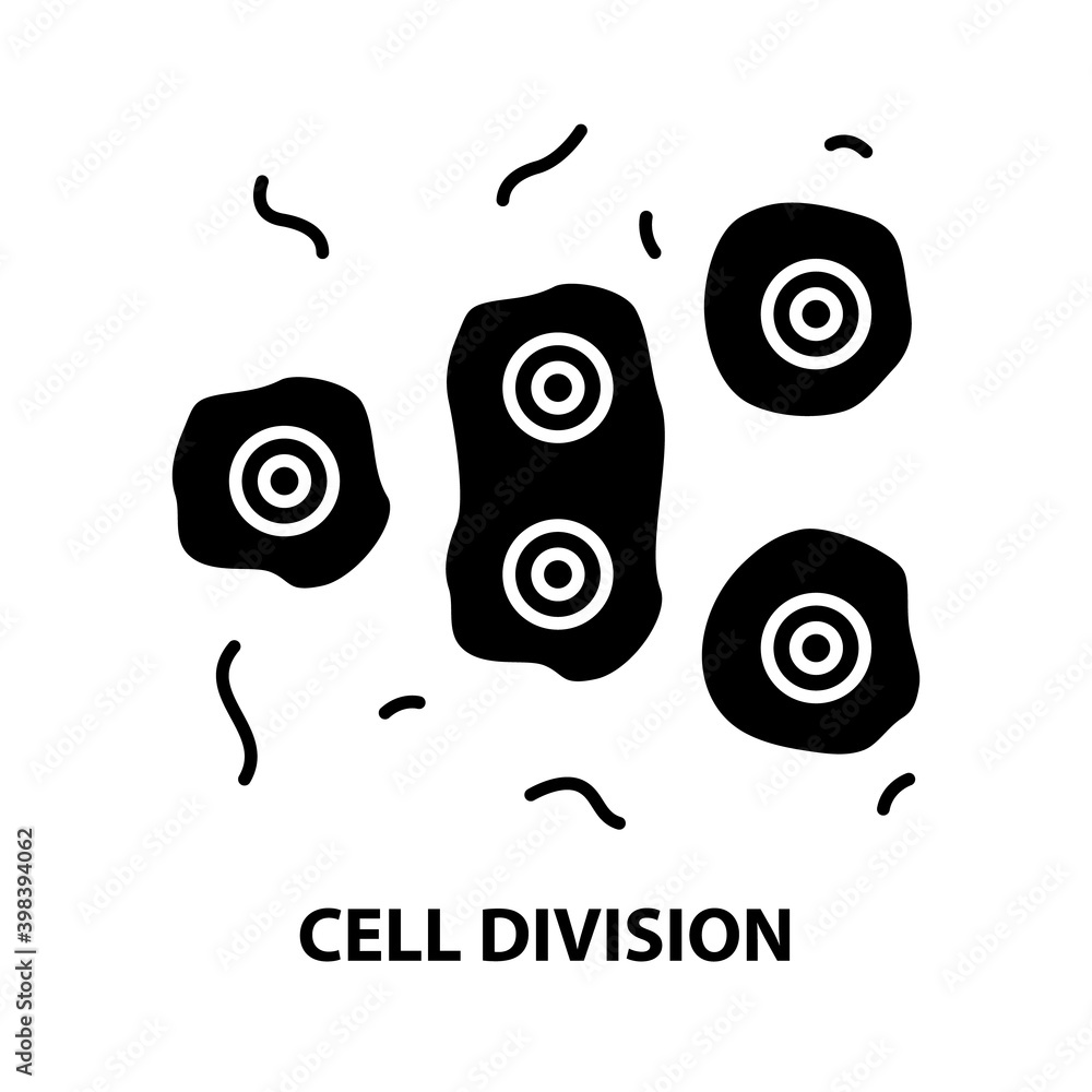 cell division icon, black vector sign with editable strokes, concept ...