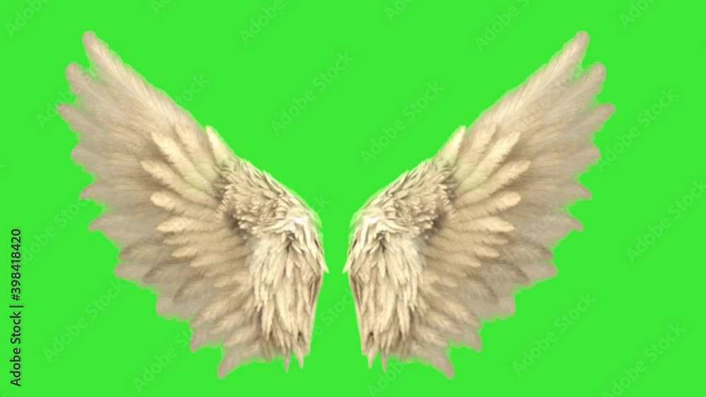 Real Angel Feather Wings Fantasy On A Green Screen Background Stock ...