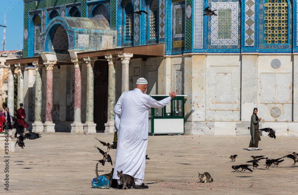 An old imam wearing white arabian gowns and feeding birds and cats at ...
