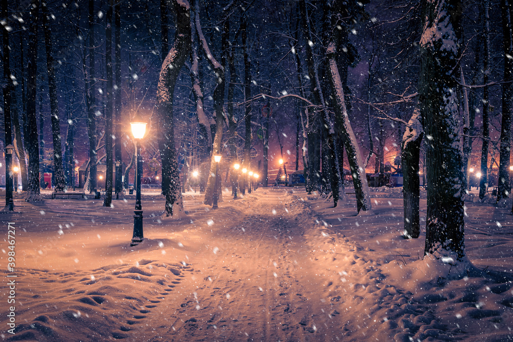 Snowy Winter Night Wallpaper
