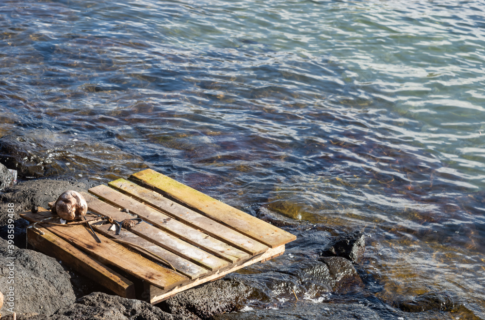 Ocean pollution along the shoreline on Waikiki beach, Honolulu, Hawaii ...