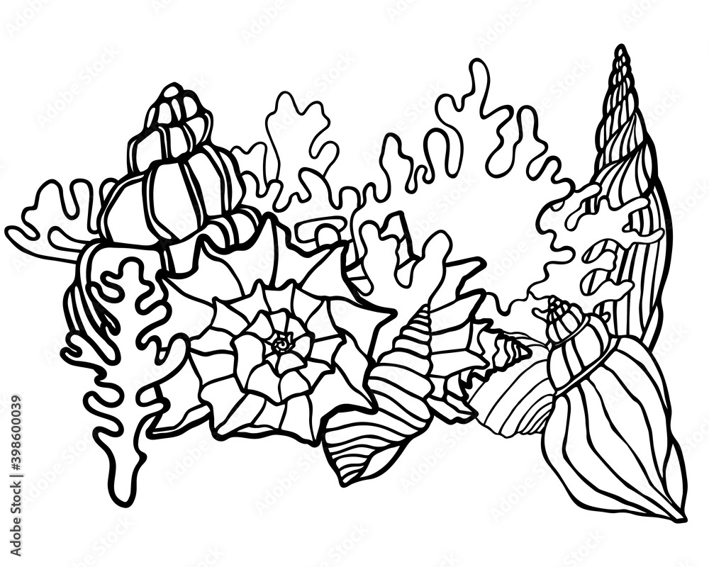 Drawing with outline seashells. Contour with sea clams. Line art with ...