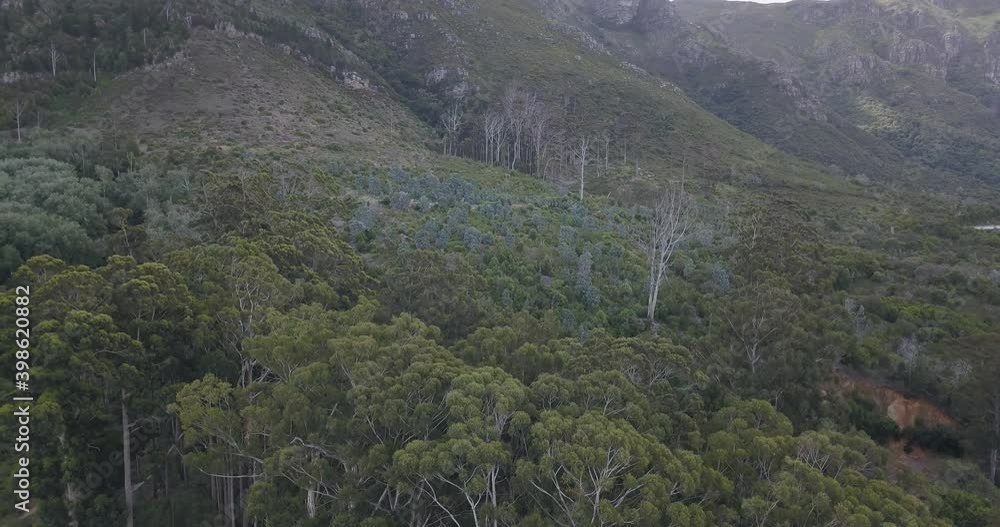 4K summer day aerial video of Cecilia Forest near Cape Town Constantia ...
