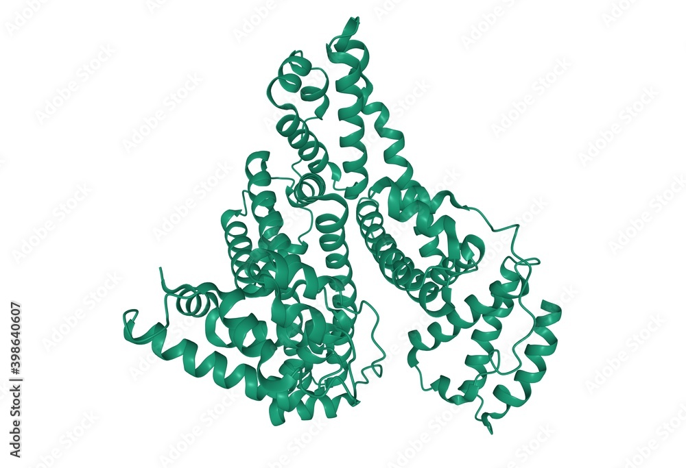 Structure of human albumin, 3D cartoon model isolated, white background ...