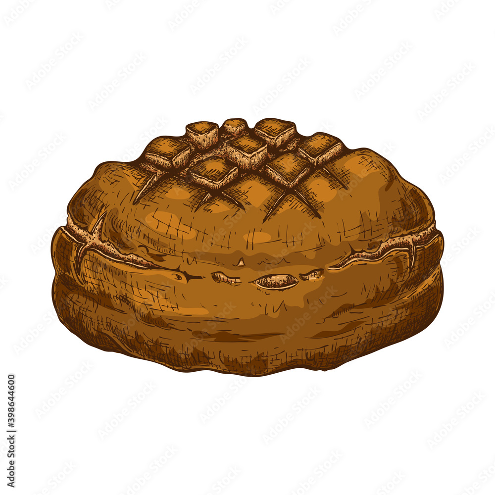 round rye bread isolated on white. hand drawn traditional brown rustic ...